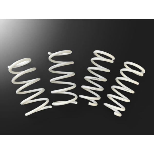 CHUHATSU CP130-ZN080 PLUS CROSSOVER スプリングセット GR86（ZN8）MT用/AT用 2021.10 ...