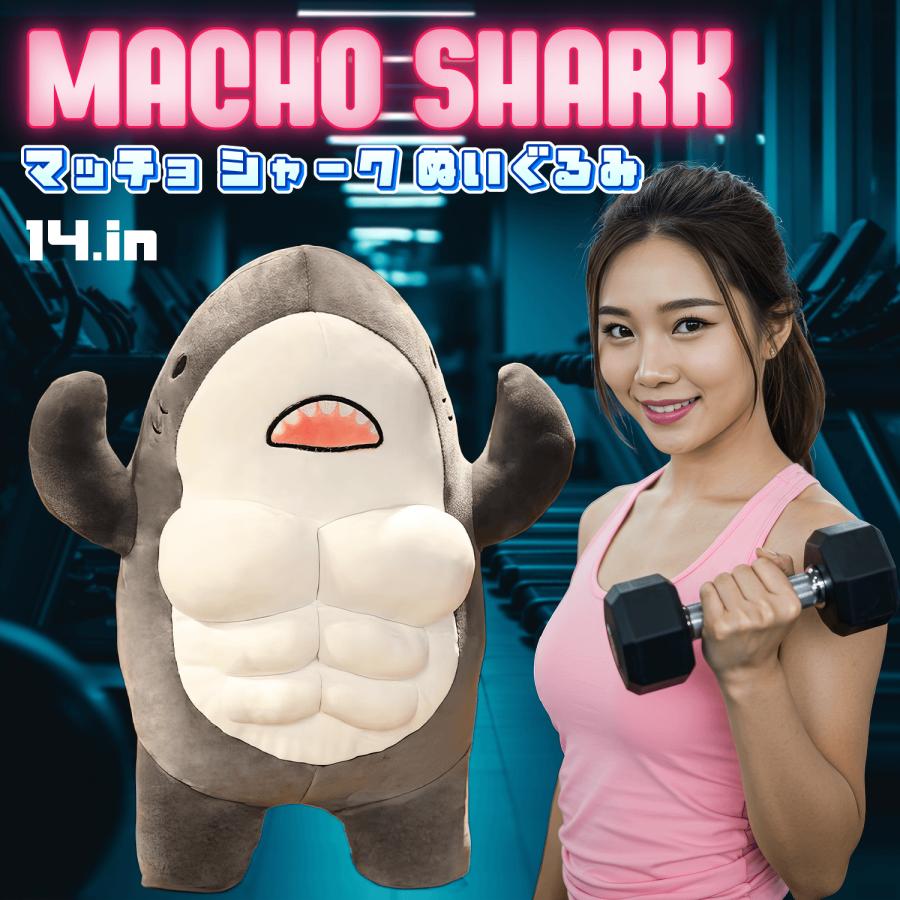 Macho Shark マッチョ シャーク マッスル サメ 鮫 腹筋 シックスパック ぬいぐるみ 可愛い ビッグ ぬい インテリア 筋トレ CA403 : Caralストア - 通販 ...