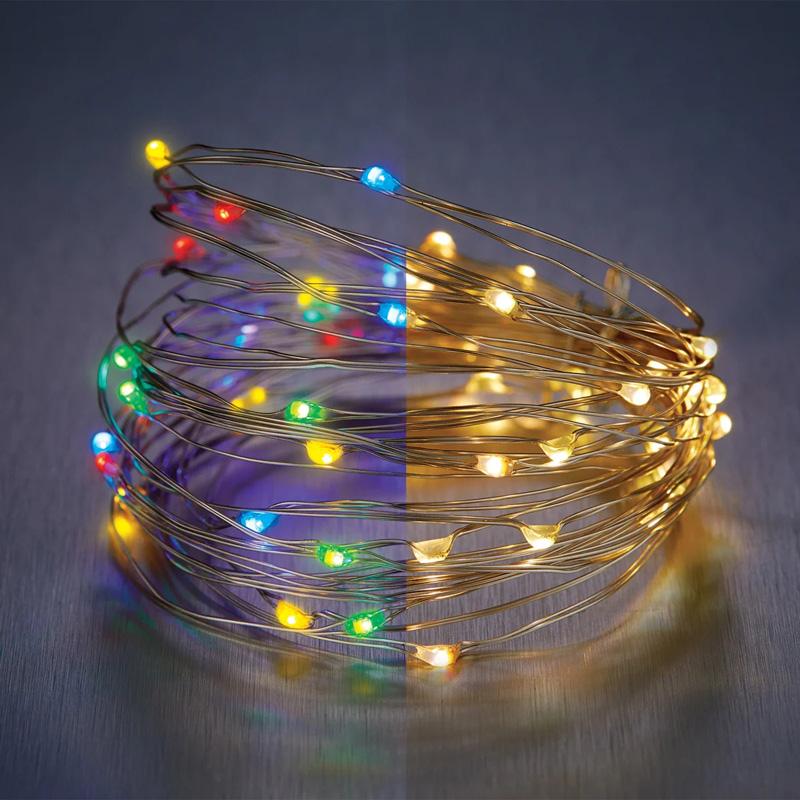 Philips フィリップス マイクロ ライト 6個セット 1601274 クリスマス 50色 LED タイマー キラキラ 屋外 外 庭 光 ...