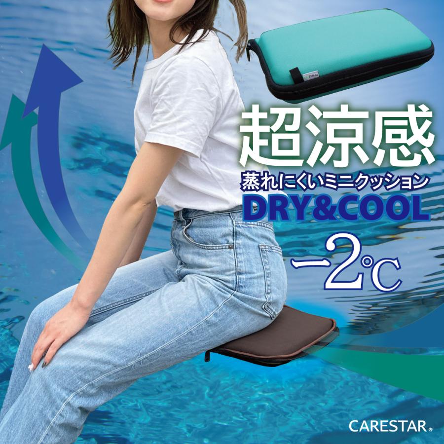 CARESTAR 冷感 折りたたみ 通気性 クッション 蒸れにくい ミニ マット ポータブル 座布団 コンパクト 軽量 持ち運び 低反発 カナ ...