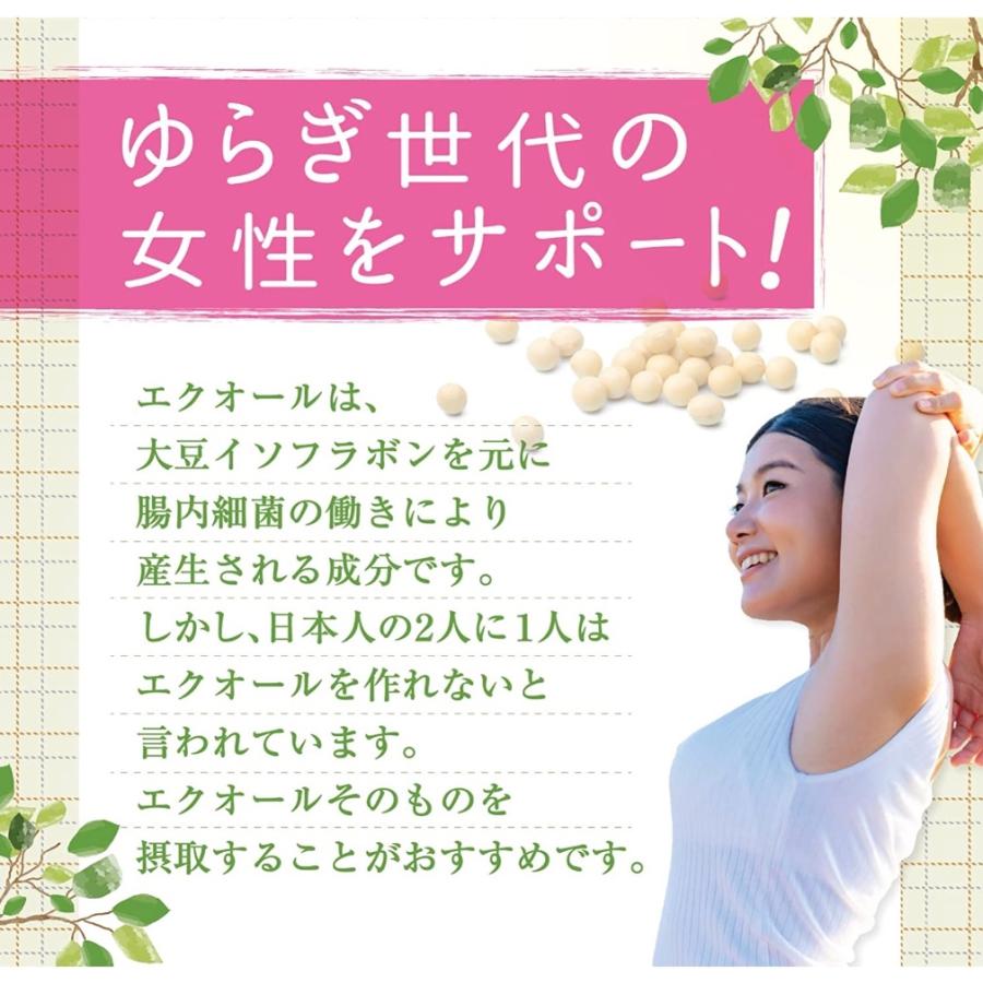 オリヒロ エクオール＆発酵高麗人参 サプリメント 50日分 150粒 :B0BSP9RRG5:CARRYオンラインストア - 通販 ...