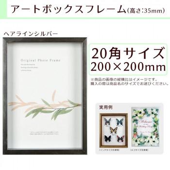 A.P.J. BOXフレーム アートボックスフレーム(高さ:35mm) 20角サイズ(200×200mm) ヘアラインシルバー 0021768627 : CARSBAY - 通販 ...