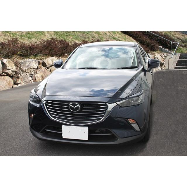 アイライン マツダ CX-3 DK5FW,DK5AW LED用 後期未確認 : カーショップナガノヤフー店 - 通販 - Yahoo!ショッピング