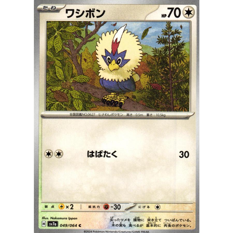 ポケモンカードゲームSV sv7a 強化拡張パック 楽園ドラゴーナ ワシボン C (049/064) : sv7a-049 : カシコムストア - 通販 - Yahoo!ショッピング