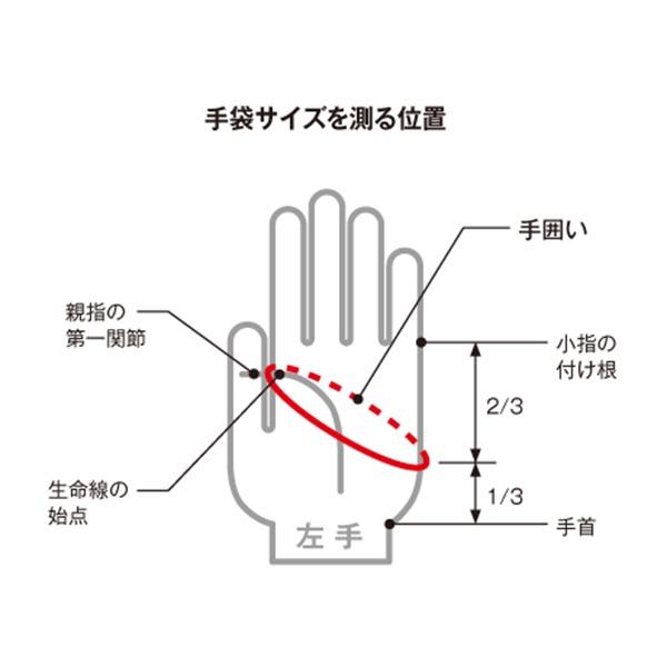Rivalley リバレイ 手袋 RBB フレックスグローブ5C 8817 BLK/ブラック 3L : 釣具のキャスティング ヤフー店 - 通販 - Yahoo!ショッピング