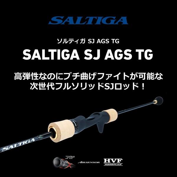 DAIWA（釣り） ダイワ ソルティガ SJ AGS TG 55B-4(ベイト 1ピース) オフショアロッド【大型商品】 : 釣具のキャスティング ヤフー店 - 通販 - Yahoo!ショッピング