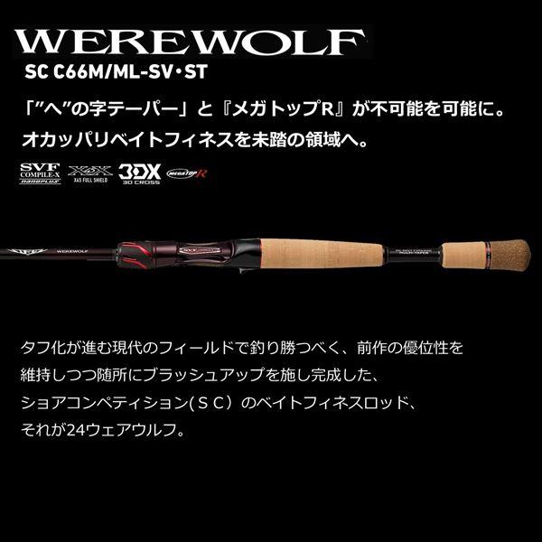 ダイワ バスロッド スティーズ ベイトキャスティングモデル SC C66M/ML-SV・ST 【大型商品】 : 4550133340345 : 釣具のキャスティング ヤフー店 - 通販 ...