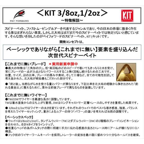 【ネコポス対象品】ペイフォワード KIT 1/2oz TW #013 シトラスチャート :4580626781874:釣具のキャスティング ヤフー店 - 通販 - Yahoo!ショッピング