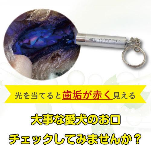 ケーピーエス KPS ハノケア チェックライト 歯垢チェック : Cattry BRANCHE - 通販 - Yahoo!ショッピング