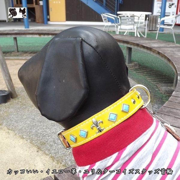 カッコいい・M&R Factoryイエロー・革製スタッズ首輪 mr0100 #首輪 #ハラコ #犬首輪 #レザーカラー : Cielo Blu ...