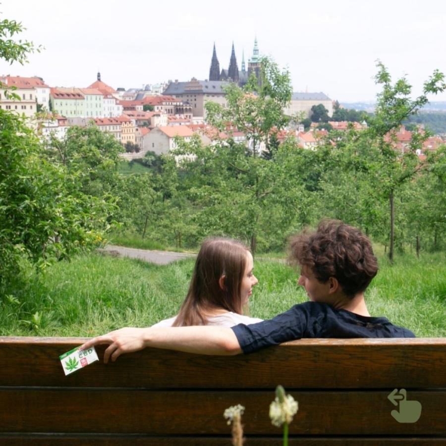 CBDガム100mg/12個：ブラックカラント（カシス） - EUPHORIA（ユーフォリア） 食べる（エディブル） シュガーレス ヴィーガン マウスケア リラックス :cbdgum ...