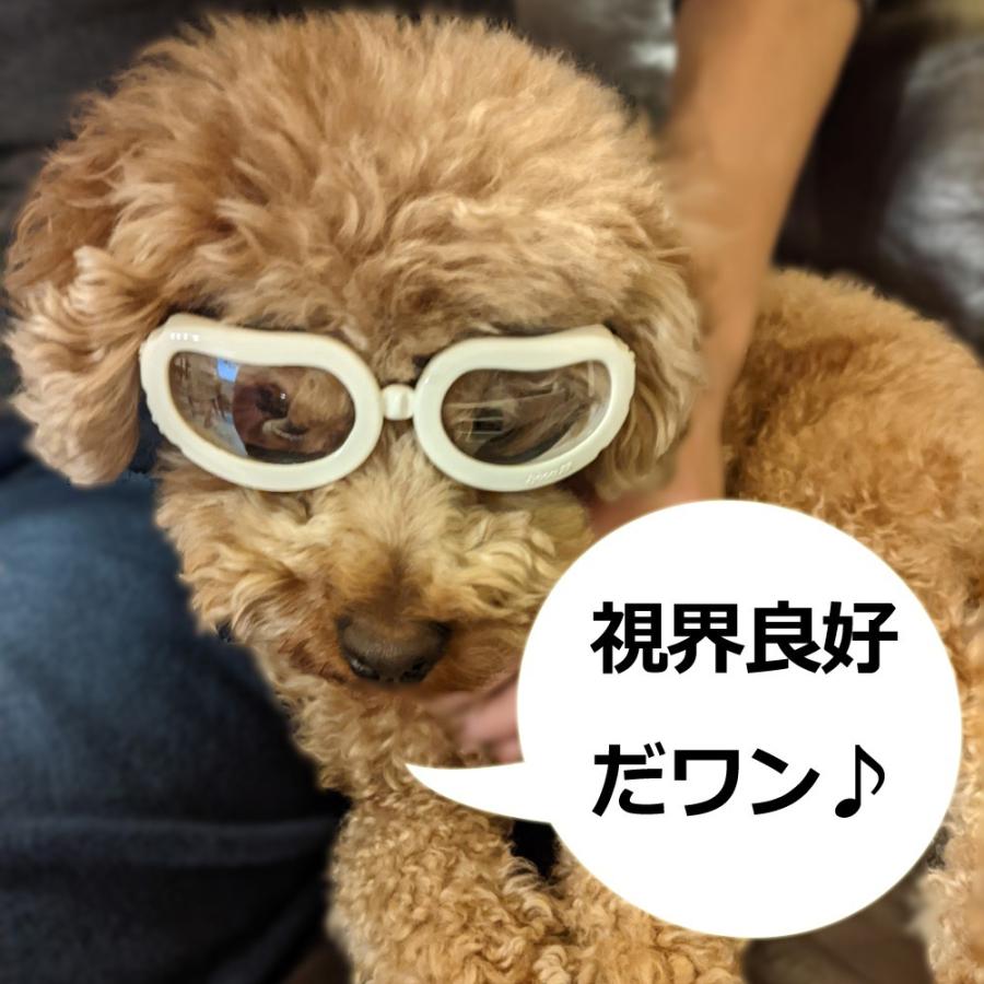 ペットゴーグル 小型犬用ゴーグル ドッグゴーグル 犬用サングラス クリアレンズ スモークレンズ おしゃれ かわいい 紫外線対策 車酔い対策 送料無料 :ledg:CCCSTORES - 通販 ...