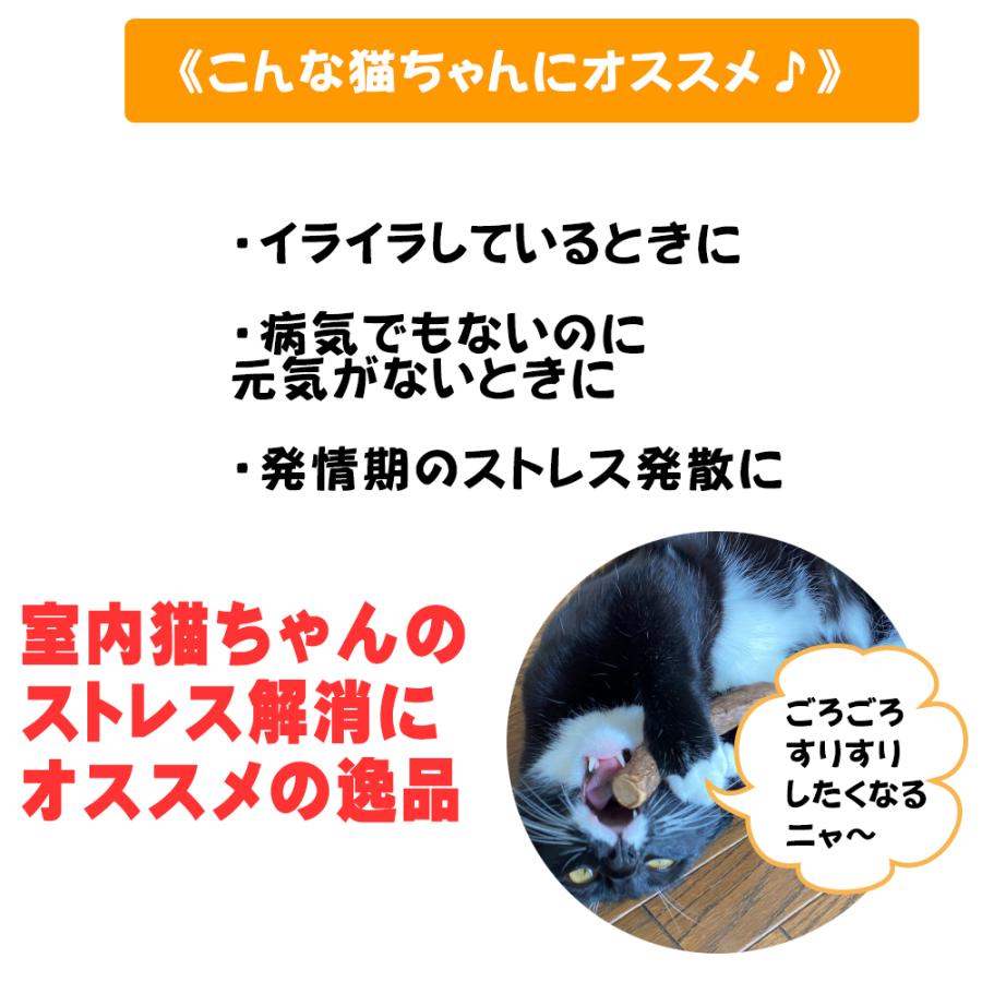 お得用5セット 猫用天然またたびスティック またたびの小枝 またたび マタタビ リラックス イライラ ストレス発散 おもちゃ ペット用品 猫用品 送料無料 : CCCSTORES - 通販 ...