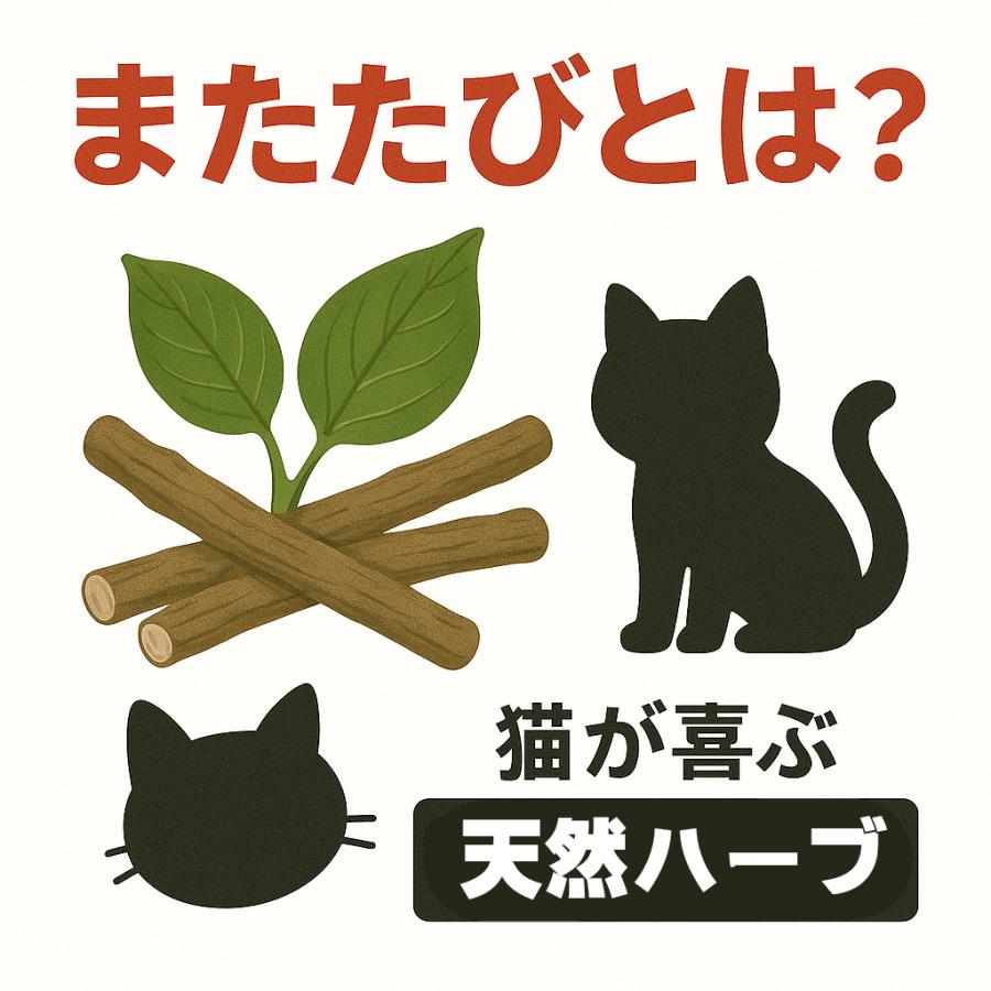 お得用5セット 猫用天然またたびスティック またたびの小枝 またたび マタタビ リラックス イライラ ストレス発散 おもちゃ ペット用品 猫用品 送料無料 : CCCSTORES - 通販 ...