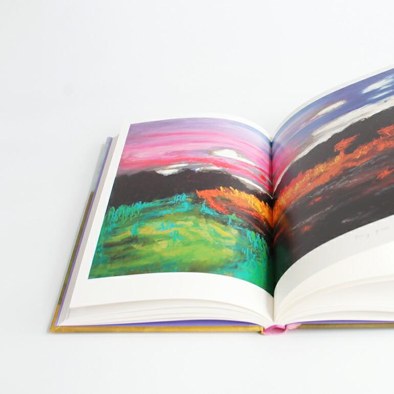 アートブック 作品集 Sohrab Hura イラストレーション THINGS FELT BUT NOT QUITE EXPRESSED ...