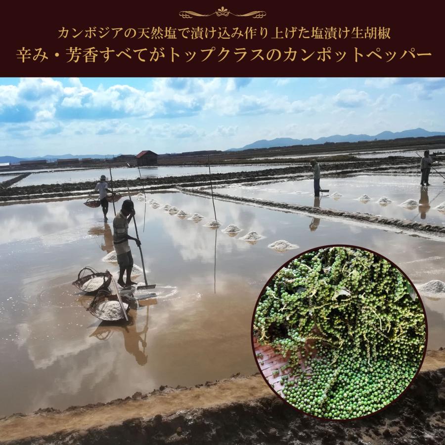 塩漬け生胡椒 60g 白胡椒 20g カンポットペッパー 生胡椒 塩漬け 調味料 送料無料 有機JAS認証 カンボジア ホワイトペッパー 白の純真 :khmer-salt-60-wh-20 ...