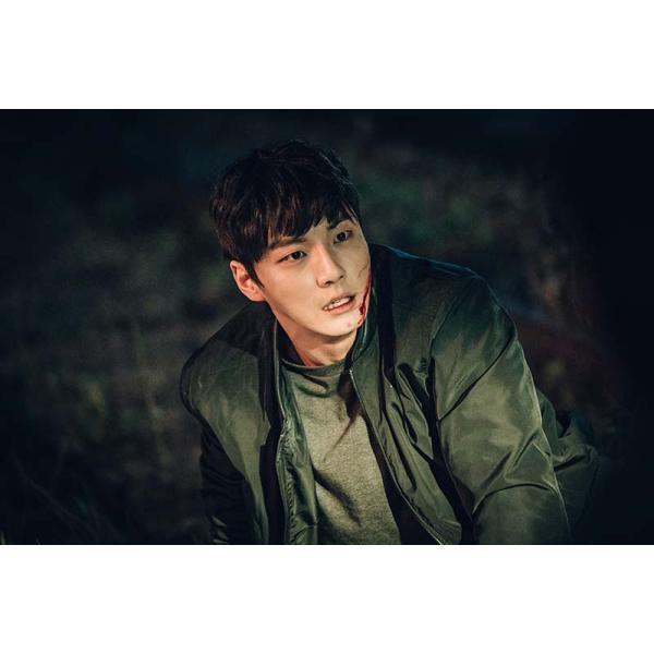 トレインDVD-BOX2（7枚組）＜シンプルBOX 5,000円シリーズ＞ 新品 : opsd-c347 : セナヤフー店 - 通販 - Yahoo!ショッピング