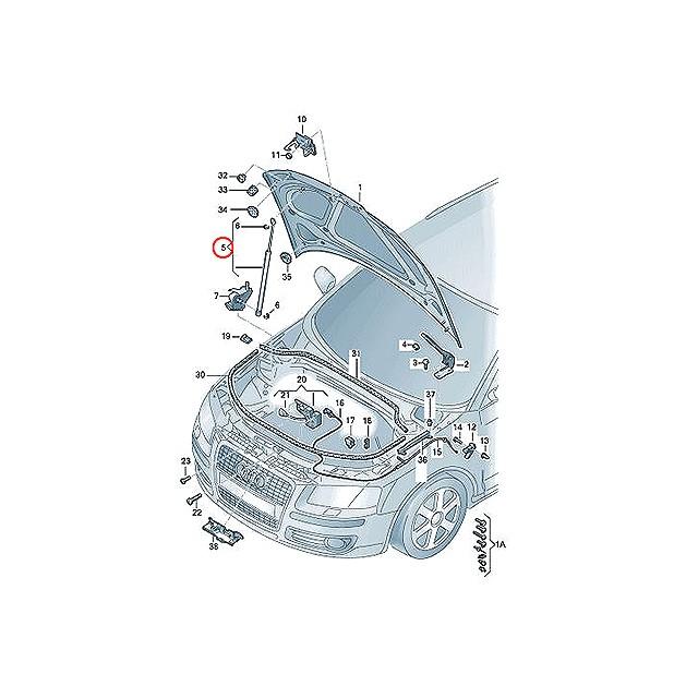 Audi ボンネットダンパー アウディ A3/S3 8PAXW 8PAXX 8PBDBF 8PBGU 8PBLR 8PBLX 8PBMJF 8PBSE 8PBUBF 8PBVY 8PBWA ...