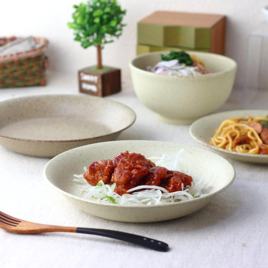 サラリマットmino パスタ皿 22.5cm 日本製 美濃焼 KL型カレー皿 カレー皿 深皿 大皿 丸皿 深鉢 深め プレート ステーキ : セラポッケ かわいい陶器のお店 - 通販 ...