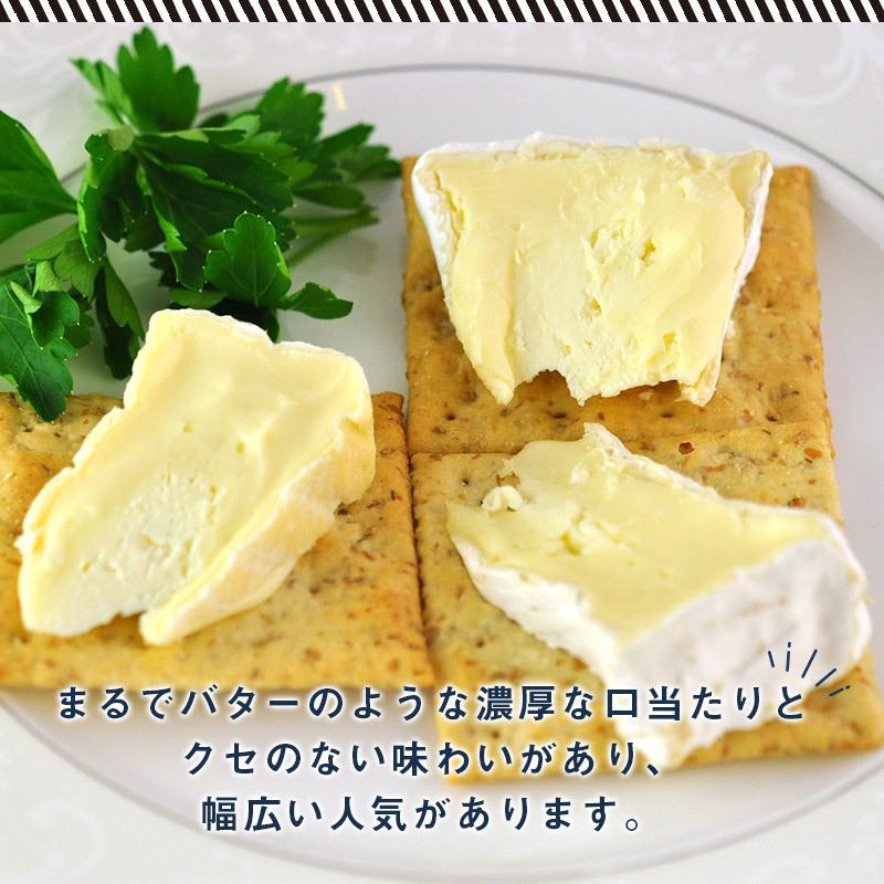 サンタンドレ 200g[冷蔵]【3〜4営業日以内に出荷】 : セレスト Yahoo!ショッピング店 - 通販 - Yahoo!ショッピング