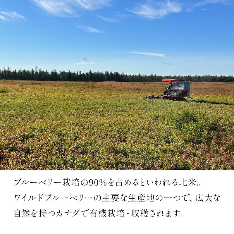 冷凍フルーツ オーガニックブルーベリー 3kg (1kg×3袋) 野生種 ワイルド[冷凍のみ] 有機JAS カナダ 【送料無料】【3〜4営業日以内に出荷】 : セレスト Yahoo ...