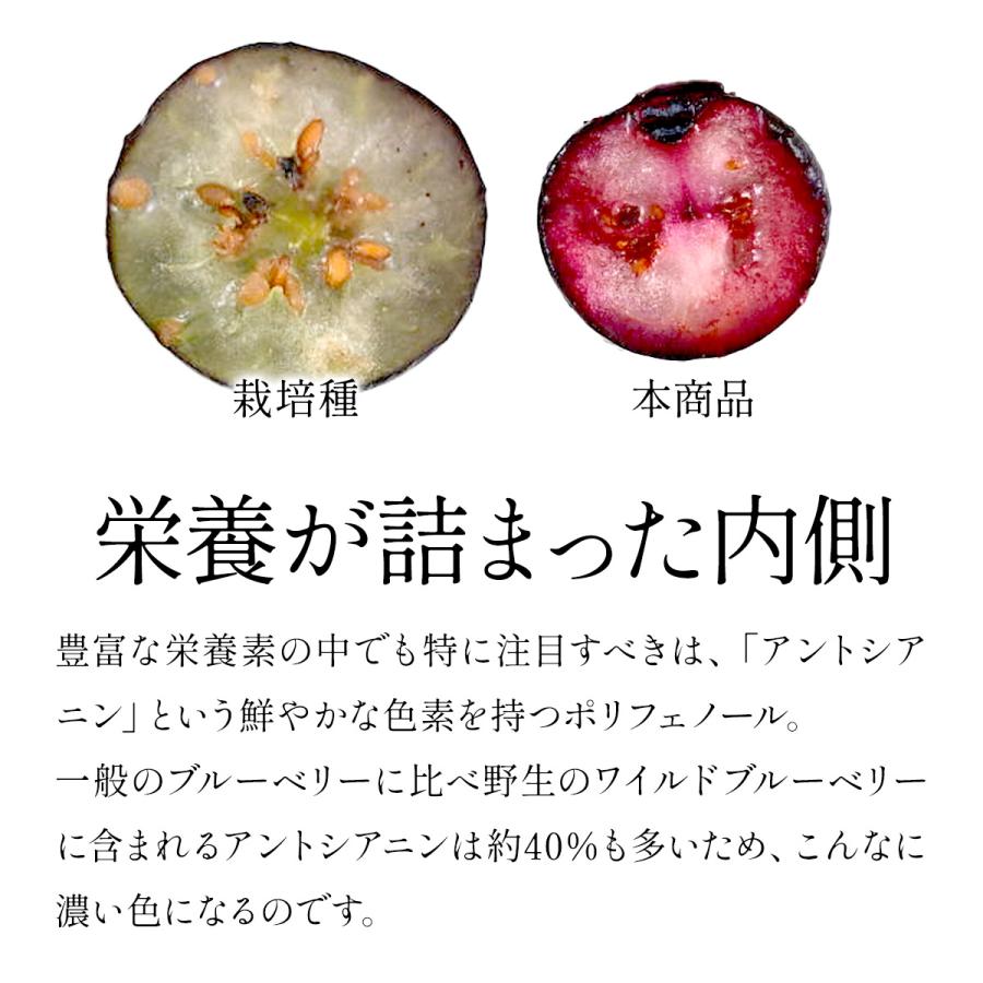 冷凍フルーツ オーガニックブルーベリー 3kg (1kg×3袋) 野生種 ワイルド[冷凍のみ] 有機JAS カナダ 【送料無料】【3〜4営業日以内に出荷】 : セレスト Yahoo ...