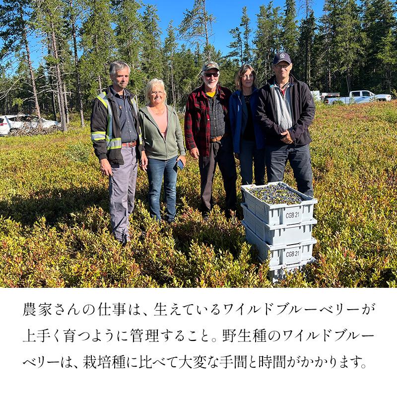 冷凍フルーツ オーガニックブルーベリー 3kg (1kg×3袋) 野生種 ワイルド[冷凍のみ] 有機JAS カナダ 【送料無料】【3〜4営業日以内に出荷】 : セレスト Yahoo ...