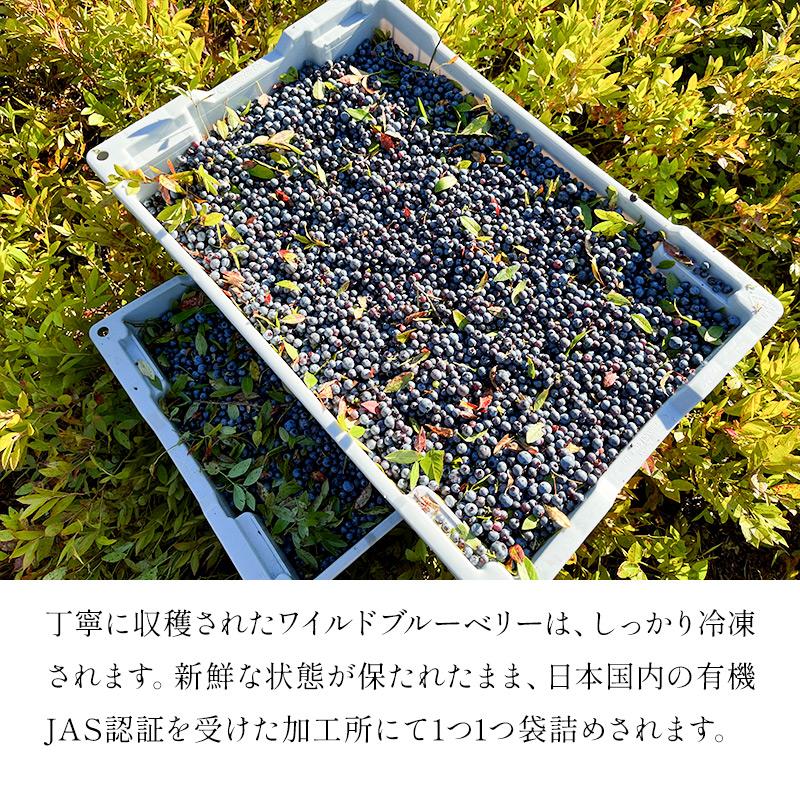 冷凍フルーツ オーガニックブルーベリー 3kg (1kg×3袋) 野生種 ワイルド[冷凍のみ] 有機JAS カナダ 【送料無料】【3〜4営業日以内に出荷】 : セレスト Yahoo ...