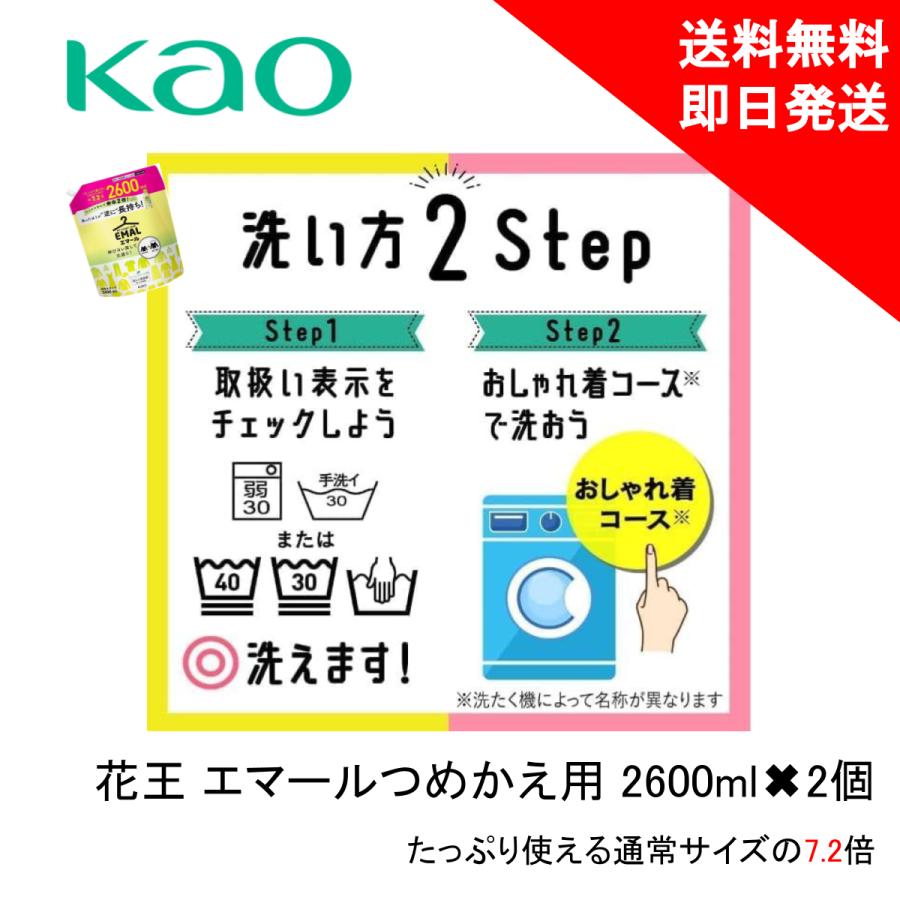 エマール 詰め替え 業務用 特大 花王 リフレッシュ 中性洗剤 洗たく用洗剤 2600ml 2.6kg 2セット まとめ買い : cf-TRADING@Yahoo!ショッピング店 - 通販 ...