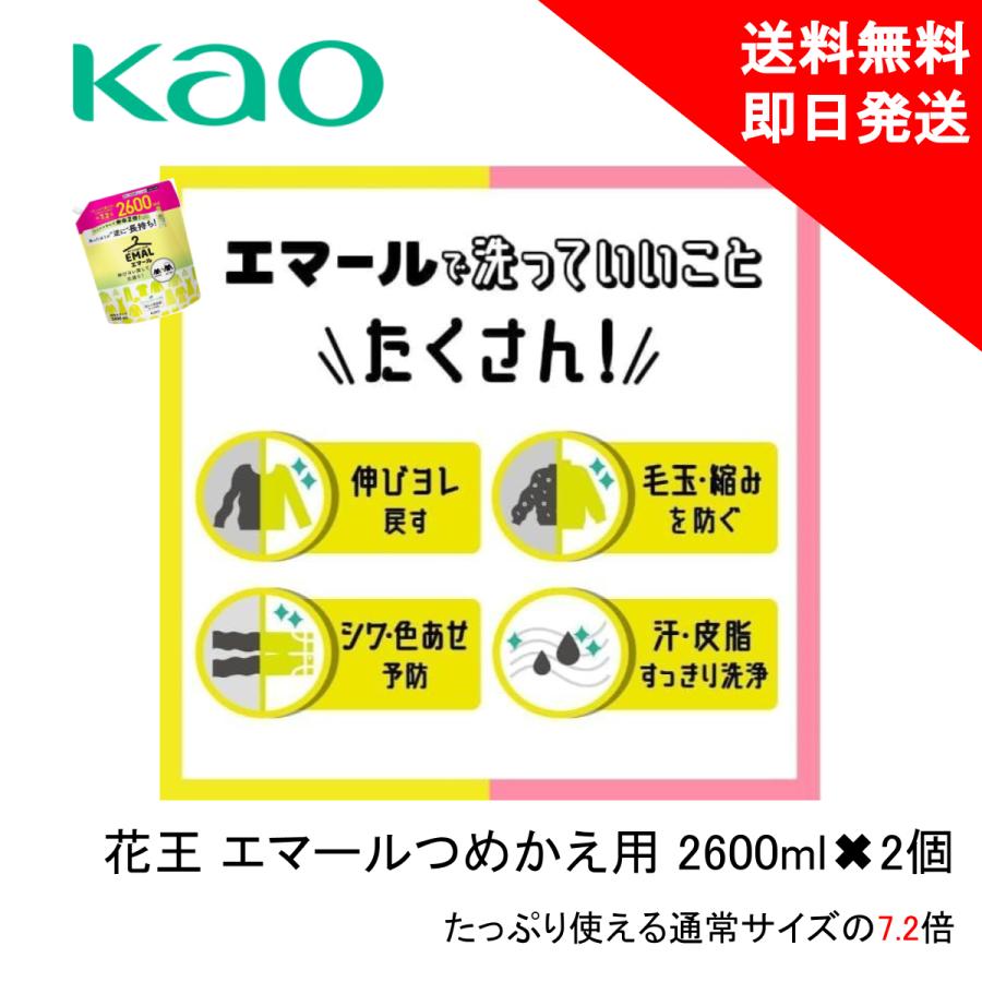 エマール 詰め替え 業務用 特大 花王 リフレッシュ 中性洗剤 洗たく用洗剤 2600ml 2.6kg 2セット まとめ買い : cf-TRADING@Yahoo!ショッピング店 - 通販 ...