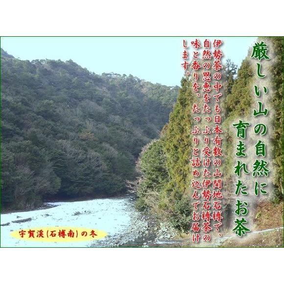 【父の日ギフト】伊勢新茶深むし茶・かぶせ茶（熱湯玉露）70g×2ありがとう袋入父の日ギフト【三重の安心食材（減農薬等）認定】 : 茶心茶屋 ...