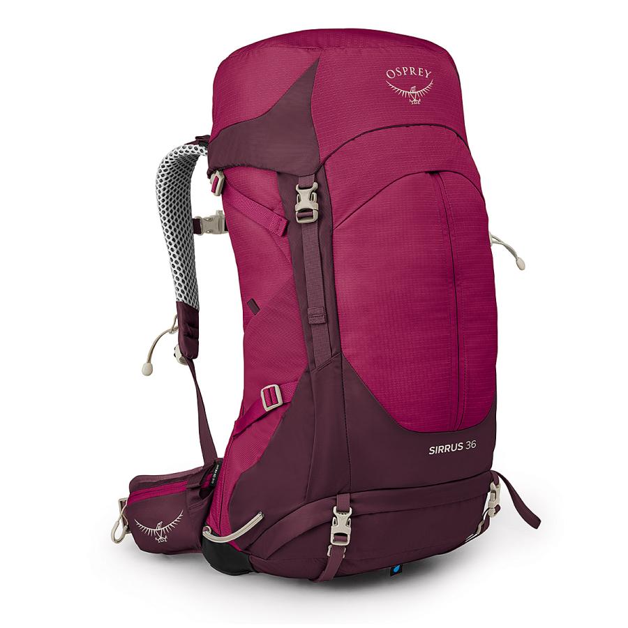 バックパック OSPREY オスプレー シラス36 送料無 OS50315 日帰り