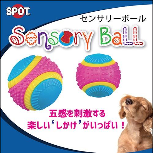 PLATZ（ペット） プラッツ センサリー ボール M 犬用おもちゃ : チャーム charm ヤフー店 - 通販 - Yahoo!ショッピング