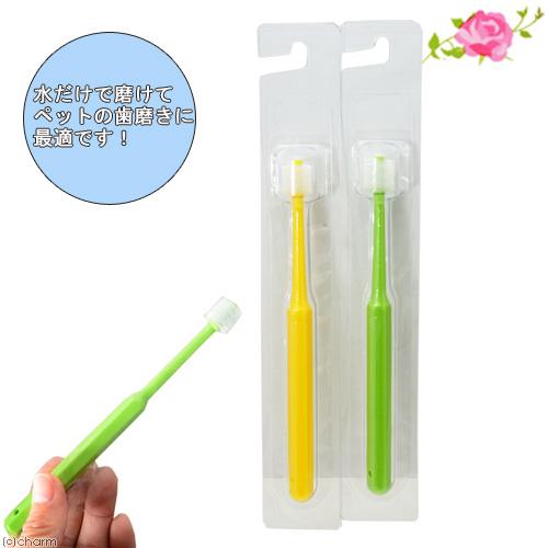 PetPro ペットプロ ペット用 デンタルブラシ 2本入り : チャーム charm ヤフー店 - 通販 - Yahoo!ショッピング