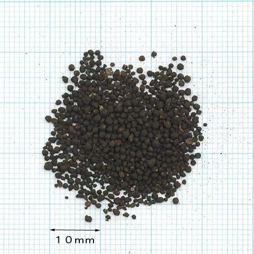 GEX GEX シュリンプ一番サンド 800g ジェックス 熱帯魚 用品 ソイル : チャーム charm ヤフー店 - 通販 - Yahoo!ショッピング