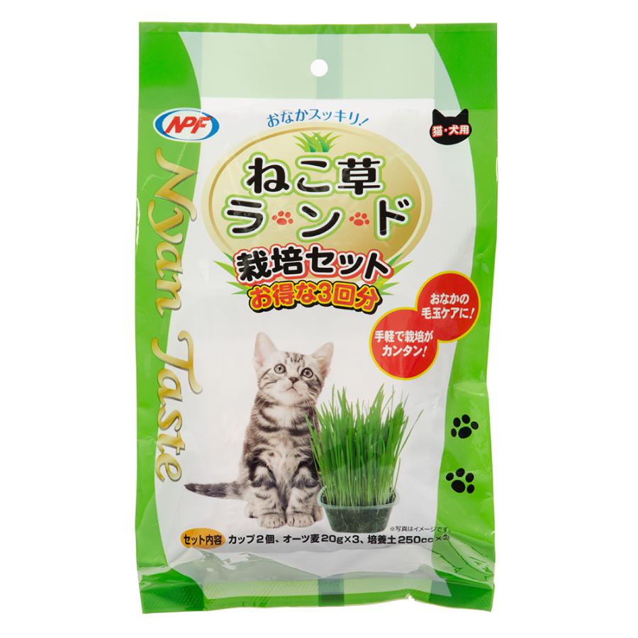 NPF NyanTaste ねこ草ランド 栽培セット 3回分 : チャーム charm ヤフー店 - 通販 - Yahoo!ショッピング