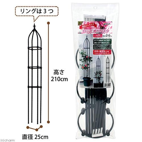 支柱 DAIM ローズオベリスク ブラックリング 直径25cm×高さ210cm : チャーム charm ヤフー店 - 通販 - Yahoo!ショッピング
