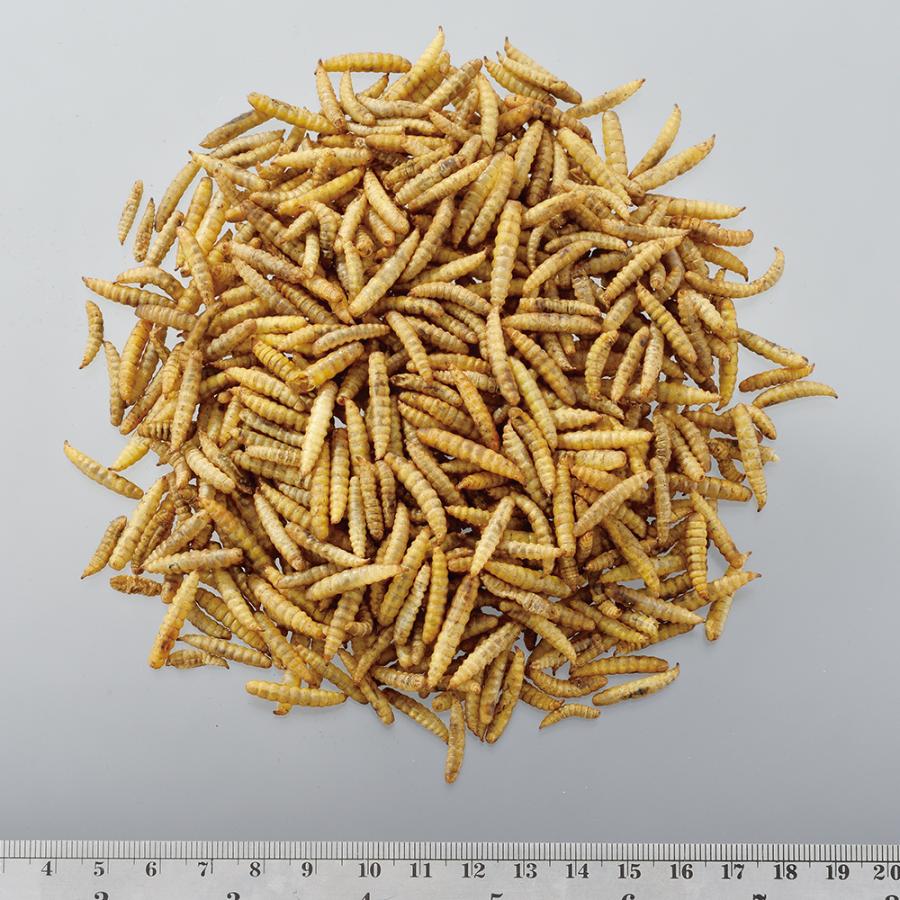 Healthy Recipe GEX ヘルシーレシピ カルシワーム 35g 小動物 フード : チャーム charm ヤフー店 - 通販 ...