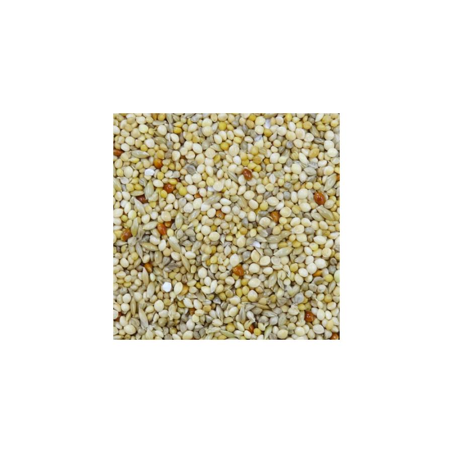 ナチュラルペットフーズ NPF エクセル5 セキセイインコ 皮付き 500g 5歳から 高齢鳥 : チャーム charm ヤフー店 - 通販 - Yahoo!ショッピング