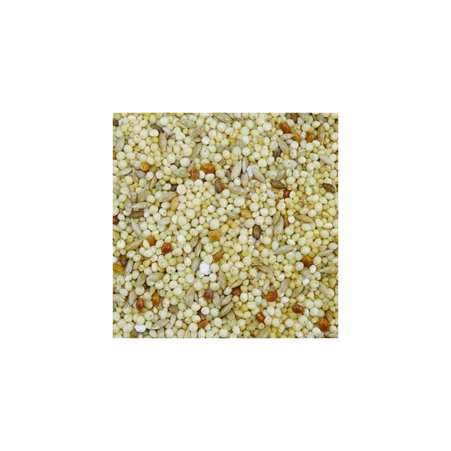 ナチュラルペットフーズ NPF エクセル5 セキセイインコ 皮むき 500g 5歳から 高齢鳥 : チャーム charm ヤフー店 - 通販 - Yahoo!ショッピング