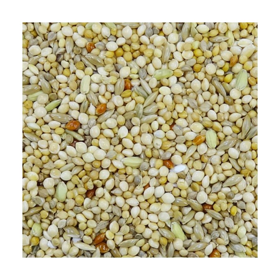 ナチュラルペットフーズ NPF エクセル5 文鳥 皮付き 500g 5歳から 高齢鳥 : チャーム charm ヤフー店 - 通販 - Yahoo!ショッピング