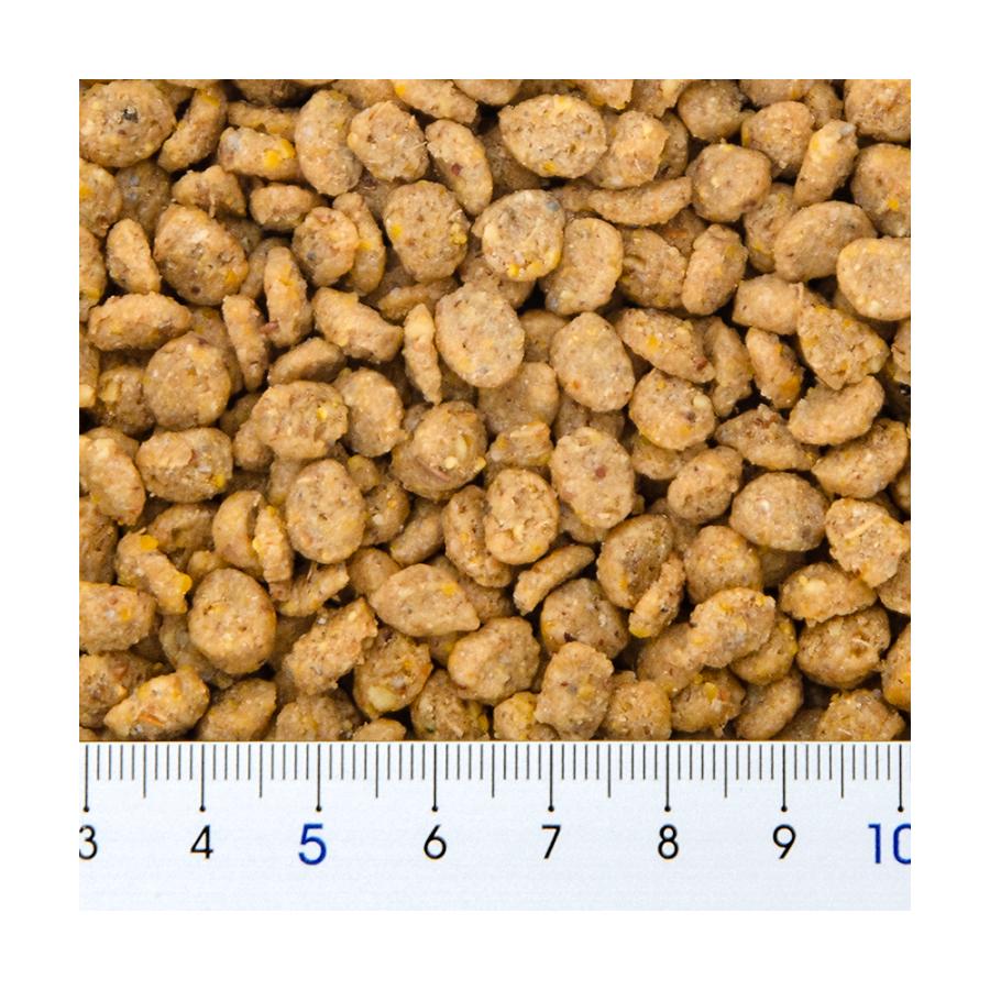 PetPro Pet−Pro HappyGlider Honey ’N Marshmallow ハッピーグライダー ハニー＆マシュマロ 100g : チャーム charm ヤフー店 - 通販 ...