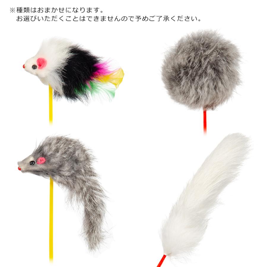 PetPro 猫じゃらし ペットプロ スティック猫じゃらし×2本 : チャーム charm ヤフー店 - 通販 - Yahoo!ショッピング