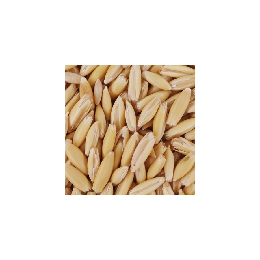 ナチュラルペットフーズ NPF ナチュラルセレクト オーツ麦（皮付き） 500g : チャーム charm ヤフー店 - 通販 - Yahoo!ショッピング