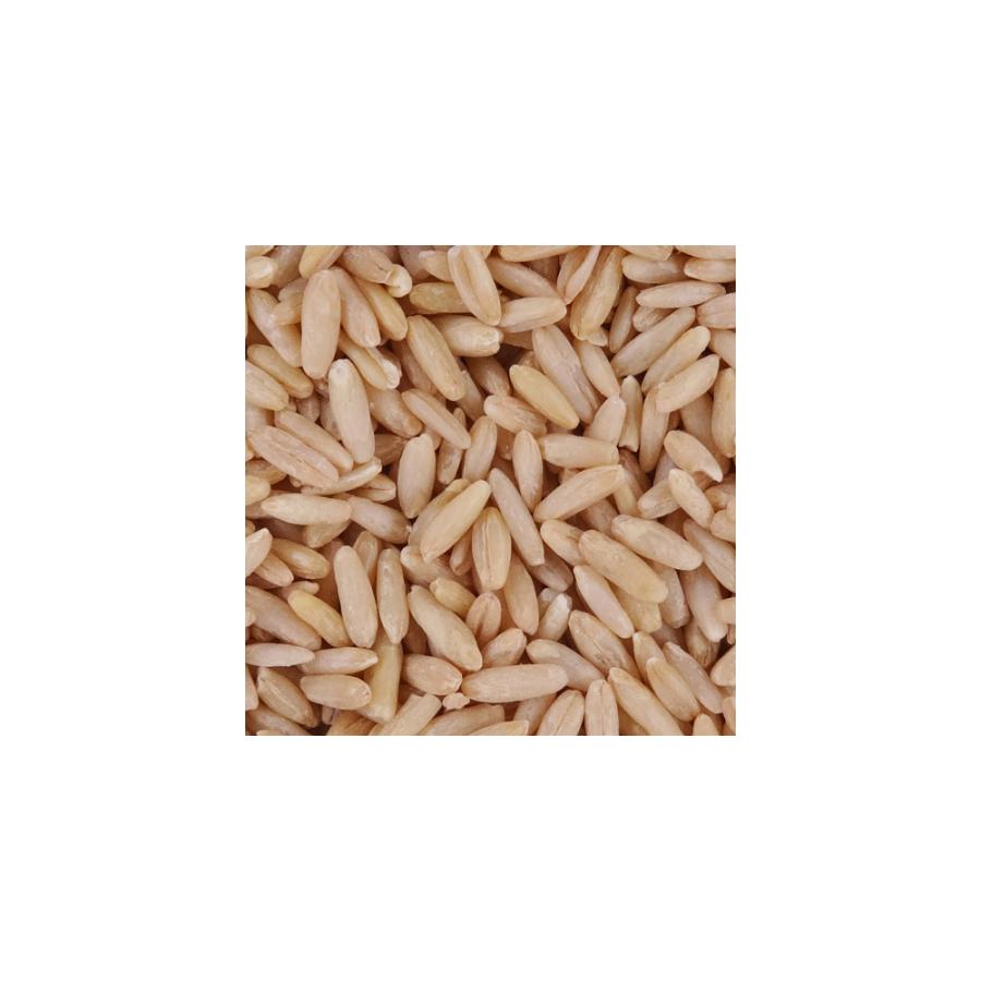 ナチュラルペットフーズ NPF ナチュラルセレクト オーツ麦（皮むき） 500g : チャーム charm ヤフー店 - 通販 - Yahoo!ショッピング