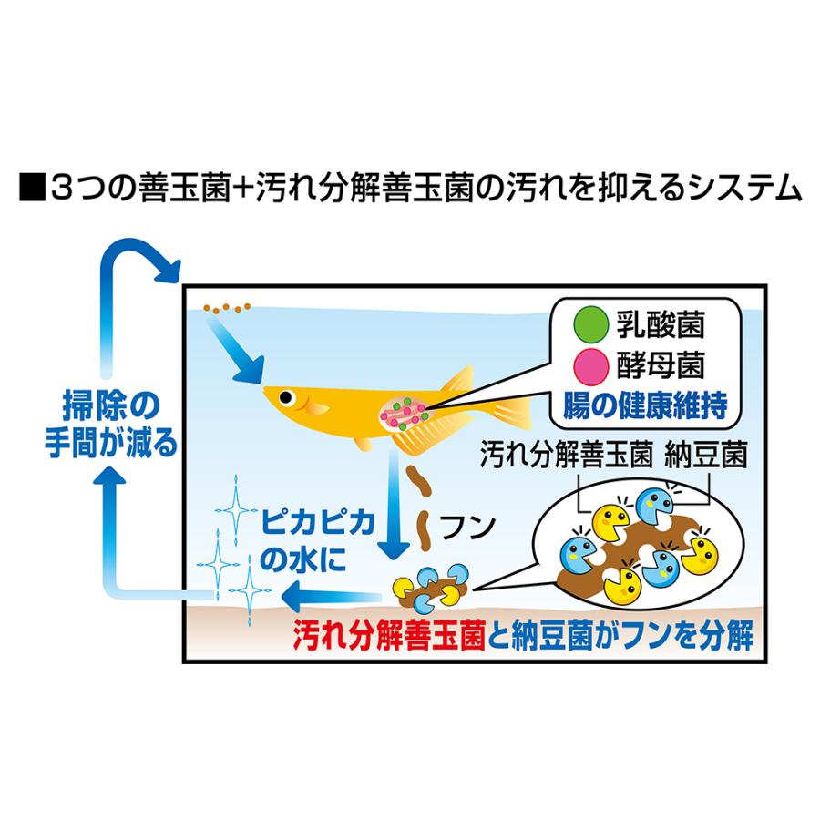 メダカ元気 GEX メダカ元気 プロバイオ フードクリア130g メダカの餌 : チャーム charm ヤフー店 - 通販 - Yahoo!ショッピング