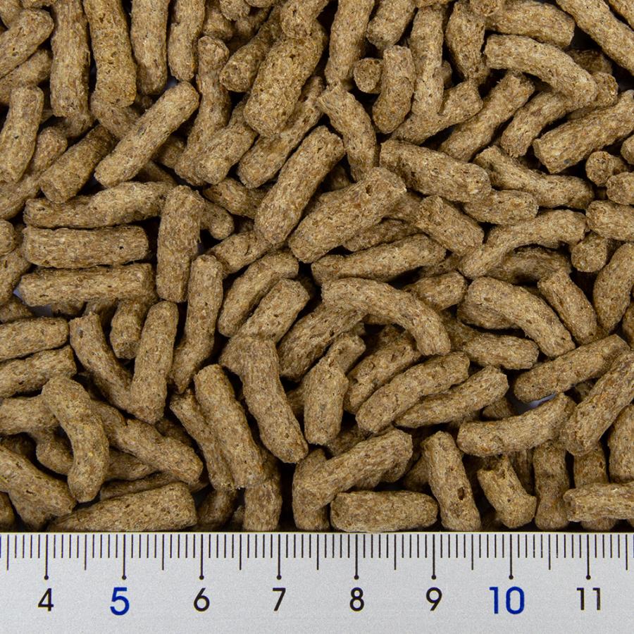 GEX GEX エキゾテラ レオパブレンドフード 60g×3個 爬虫類 フード ヒョウモントカゲモドキ : チャーム charm ヤフー店 - 通販 - Yahoo!ショッピング