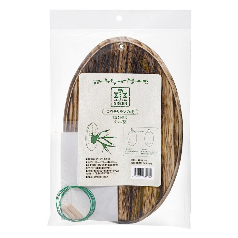 ジュン(ペット用品) JUN J．GREEN コウモリランの板 タマゴ型 : チャーム charm ヤフー店 - 通販 - Yahoo!ショッピング