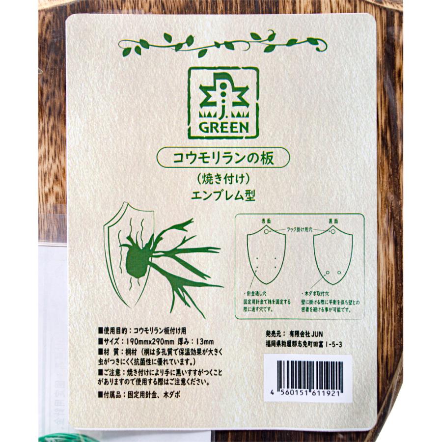 JUN J．GREEN コウモリランの板 エンブレム型 : 268702 : チャーム charm ヤフー店 - 通販 - Yahoo!ショッピング