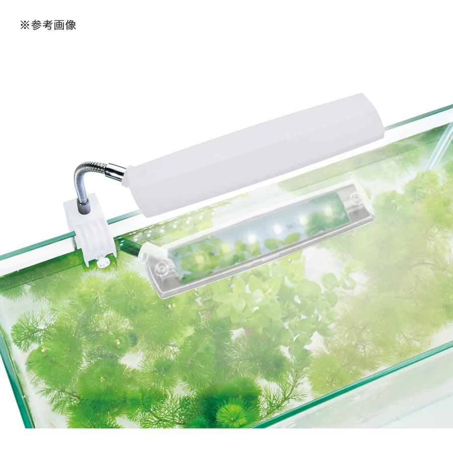 GEX GEX クリアLED エコリオアーム パワー ホワイト 〜40cm水槽 ライト アクアリウム 照明 : チャーム charm ヤフー店 - 通販 - Yahoo!ショッピング